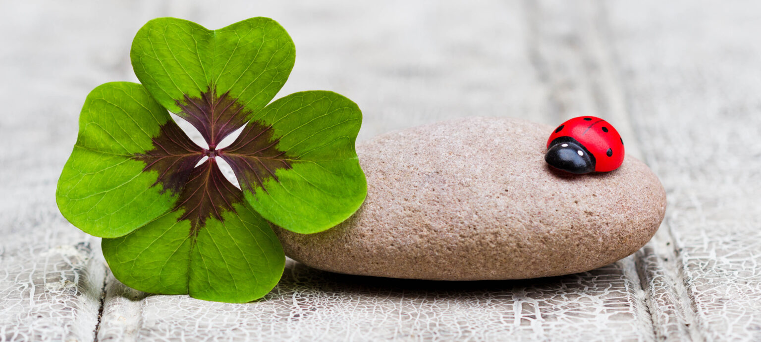 Röschenz Pfarrblatt Nr. 01/2026 (27.12.2025-11.01.2026) - Kath ...